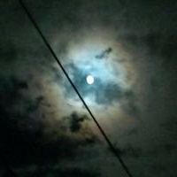 _ (name_N)が見てるアニメ | Annict